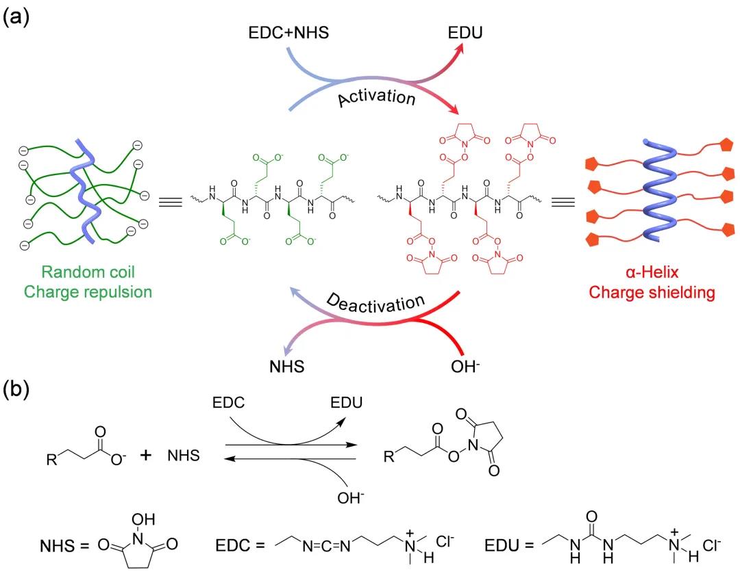 图 1 本文研究思路示意图