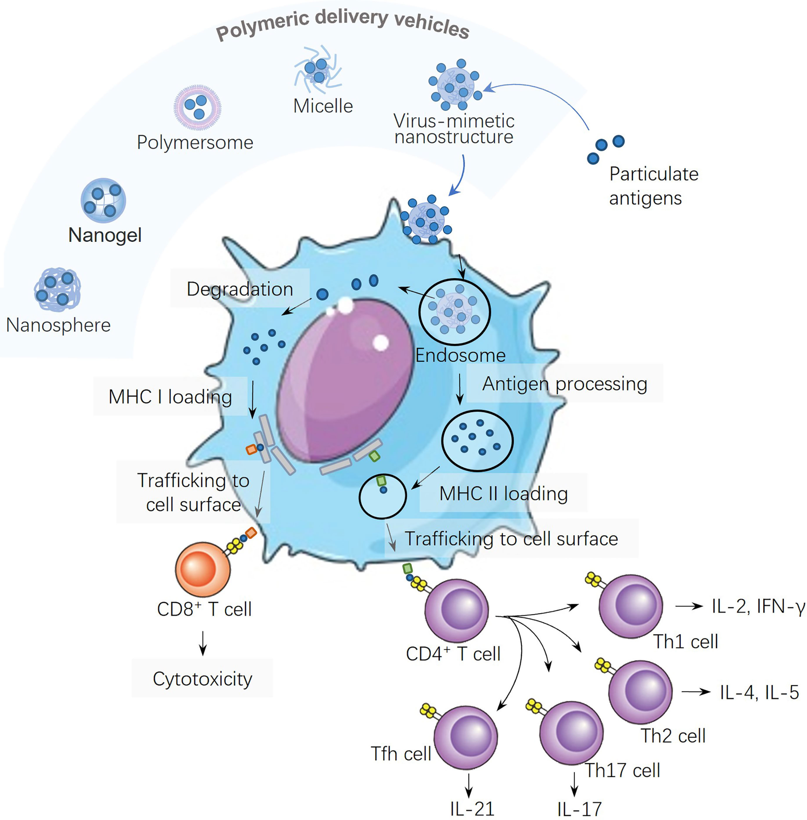 发表文章 (Publications)