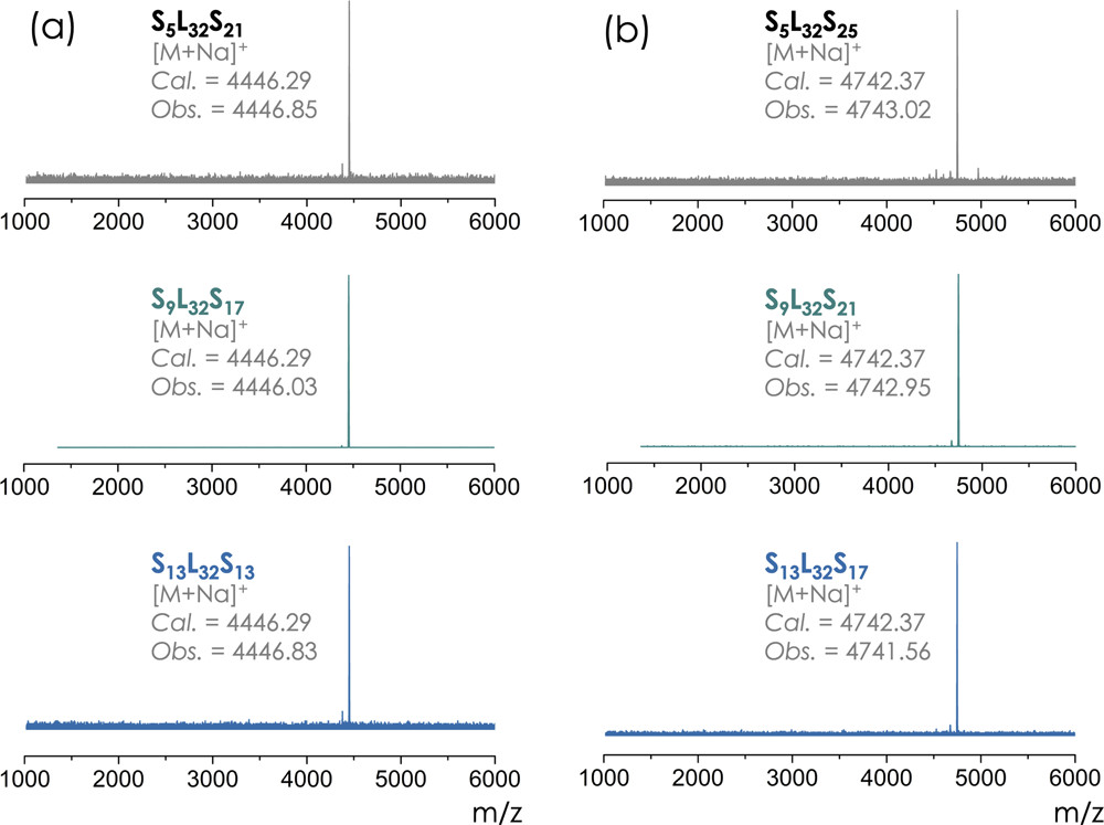 董学会课题组ACS Macro Lett. ：精确ABA三嵌段共聚物的自组装：分子构造与对称性的影响
