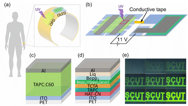 Visible-Blind Ultraviolet Narrowband Photomultiplication-Type Organic ...