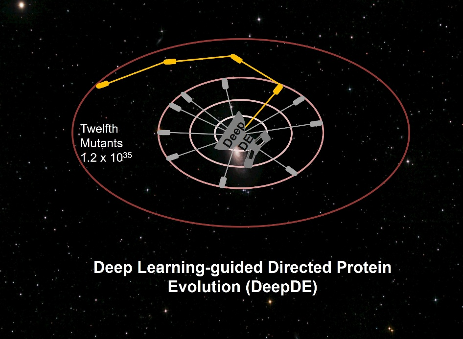 Prof. Yang and Lin’s Team Developed a Deep Learning-Guided Algorithm ...